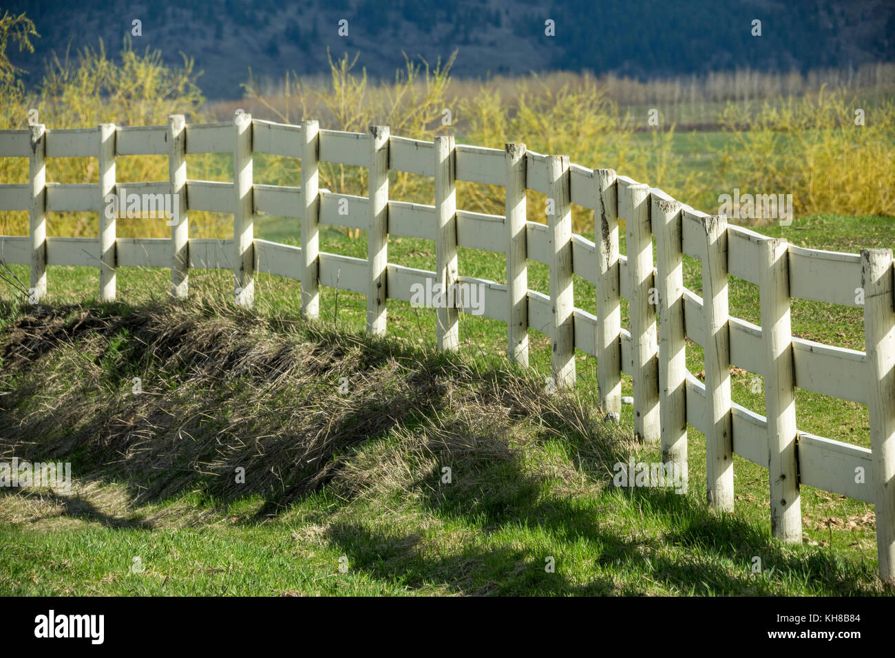 British fence hi-res stock photography and images - Alamy