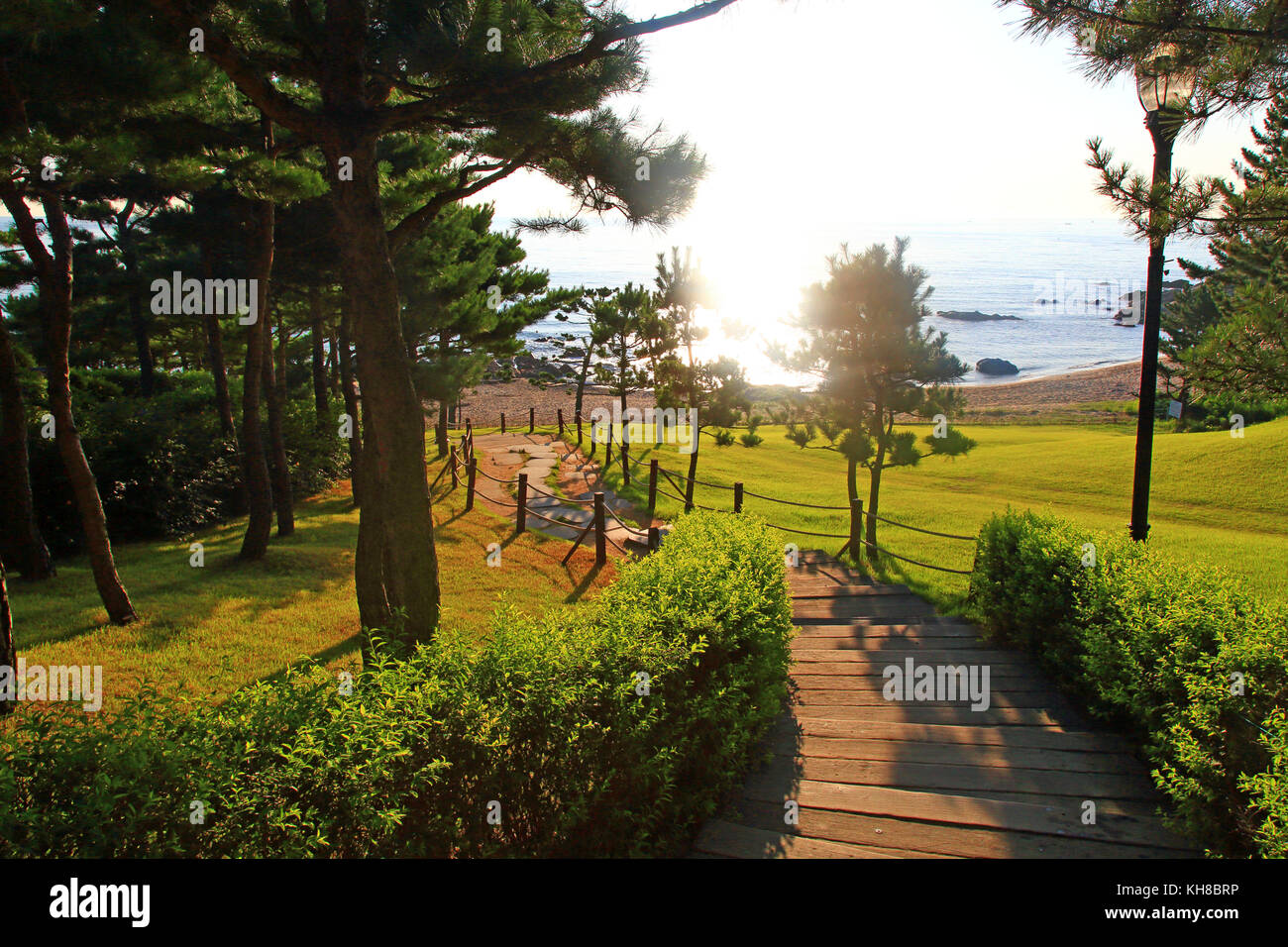 South Korea. Gangwon area.. Yangyang. Daemyung Sol Beach Stock Photo ...