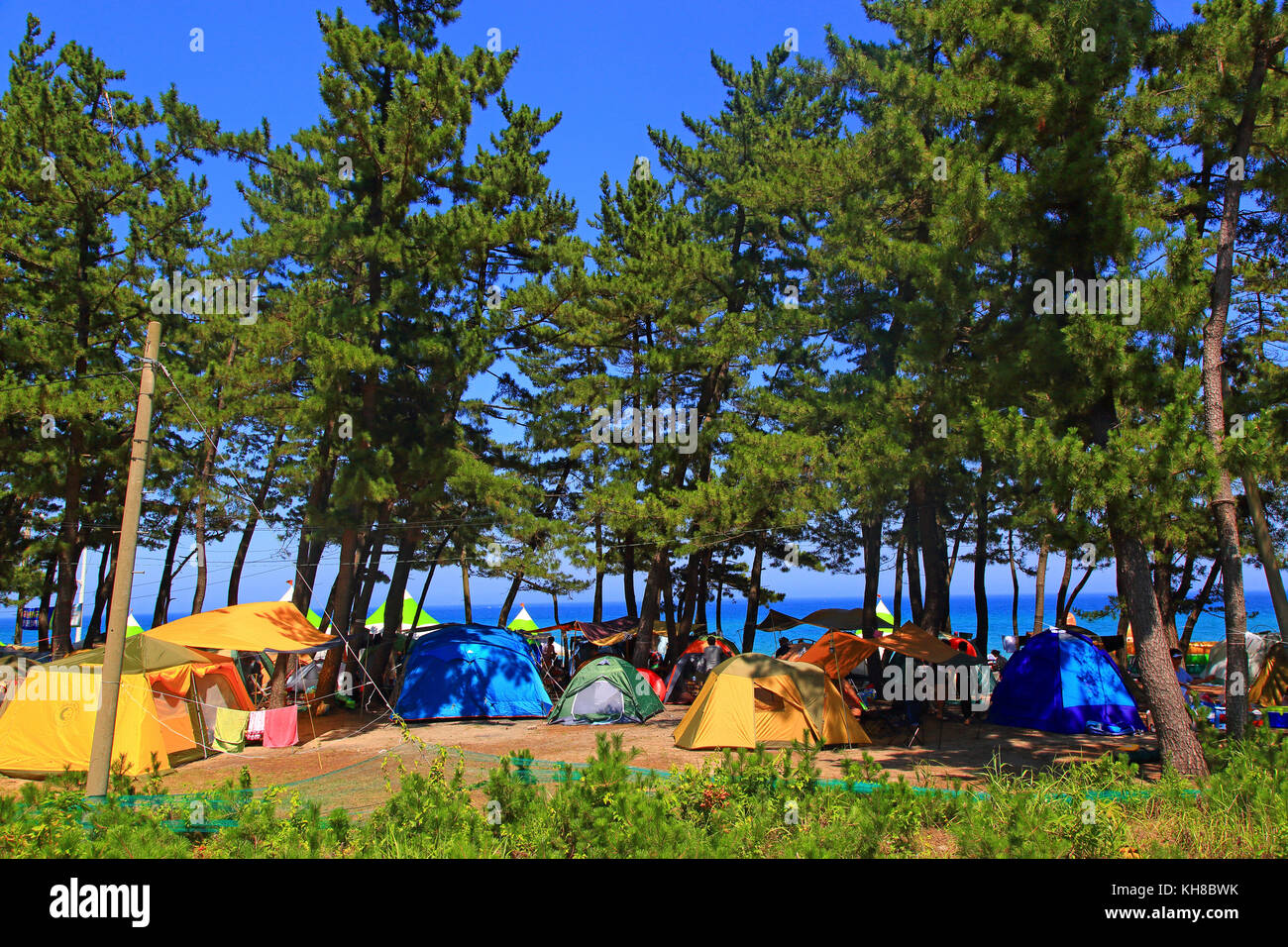 South Korea. Gangwon area. Camp area Stock Photo - Alamy