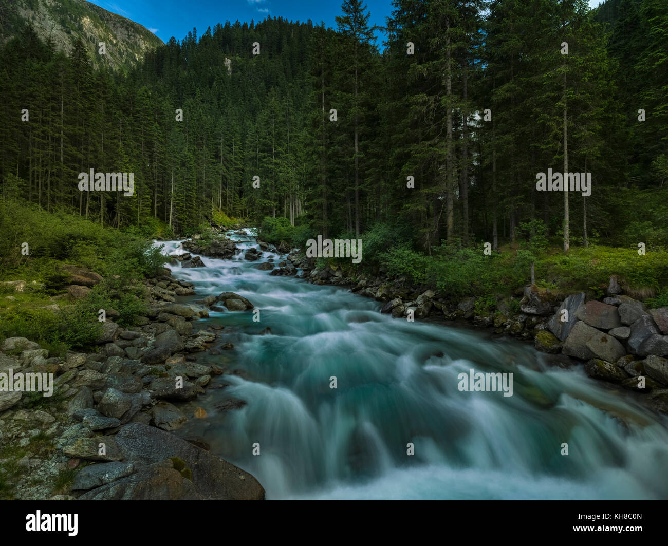 River, mountain stream, forest, grass, europe, dolomites, alps Stock ...
