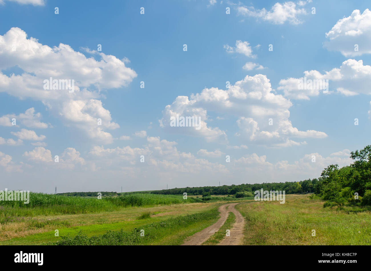 country road and pasture with green trees and blue sky Stock Photo - Alamy