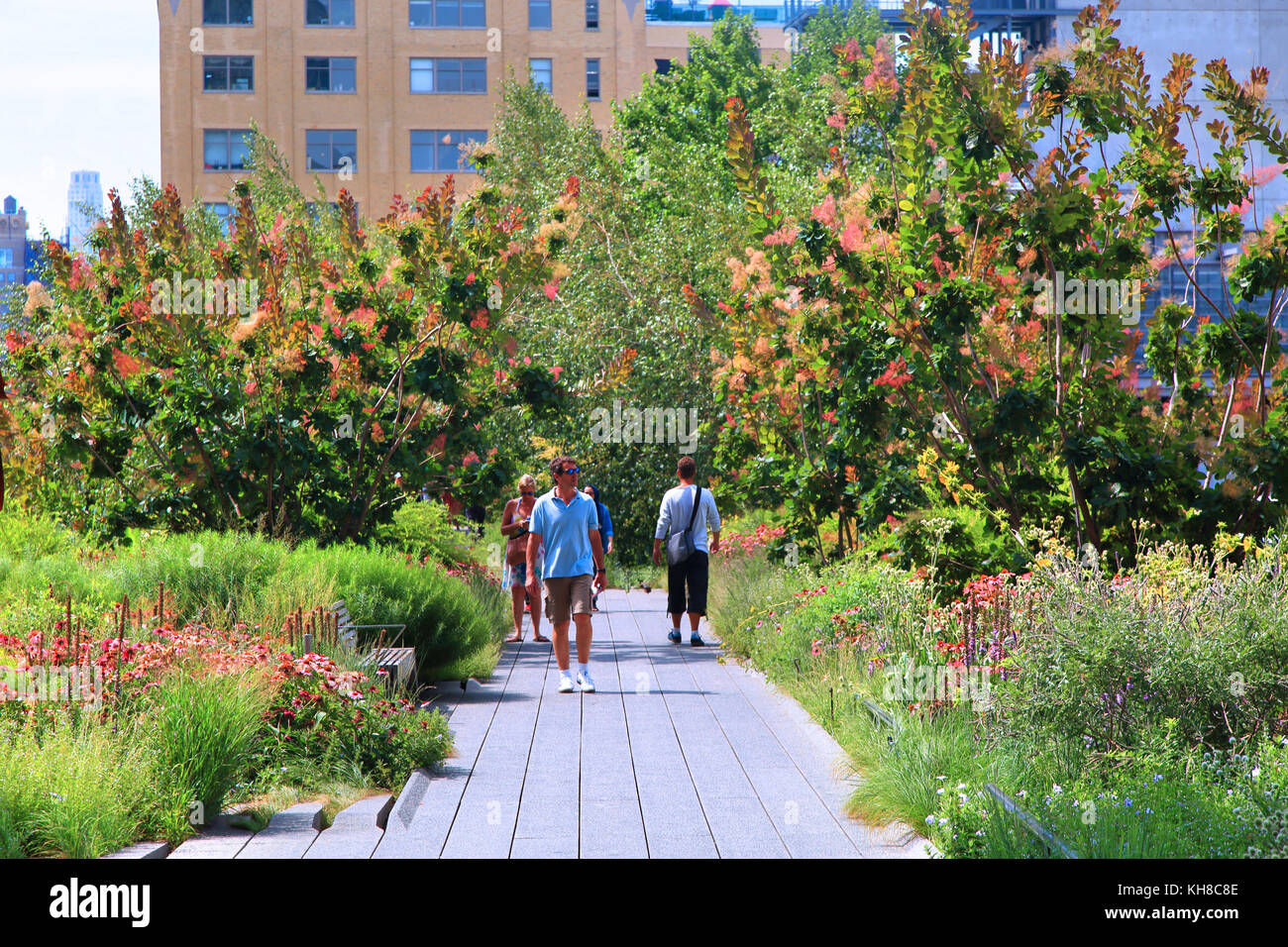 Usa, New York, Manhattan. High Line Park Stock Photo - Alamy