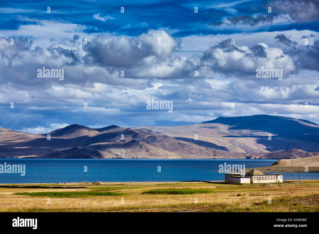 Lake Tso Moriri, Ladakh Stock Photo - Alamy
