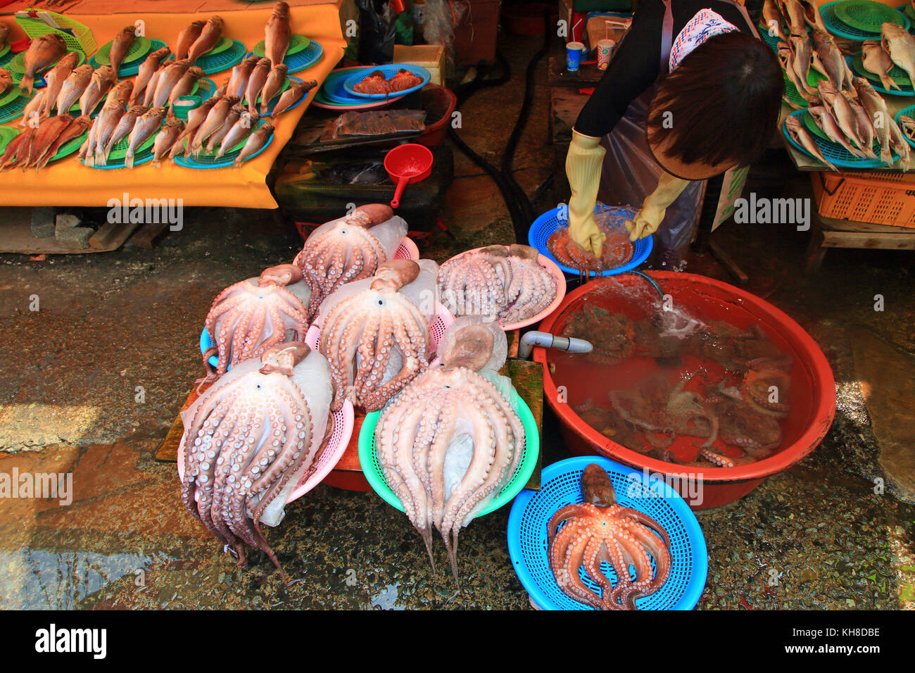 South Korea, Busan. Fish Market. Jagalchi Market. Octopus Stock Photo ...