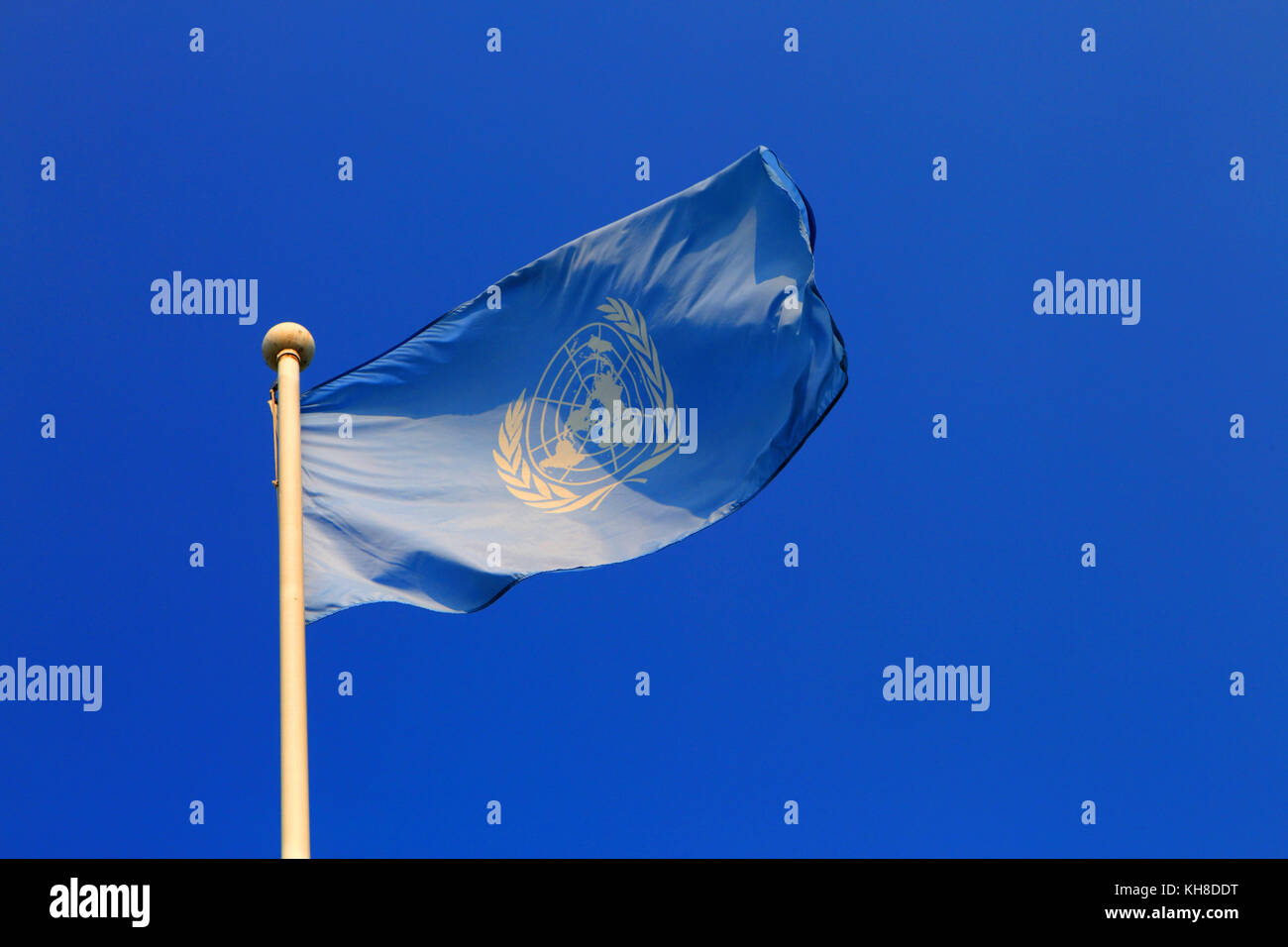 ONU flag in a blue sky Stock Photo - Alamy