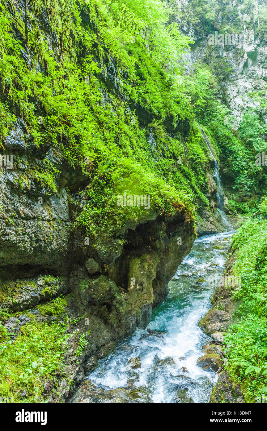 France, Pyrenees, Basque Country, Haute-Soule, Gorges de Kakuetta Stock ...
