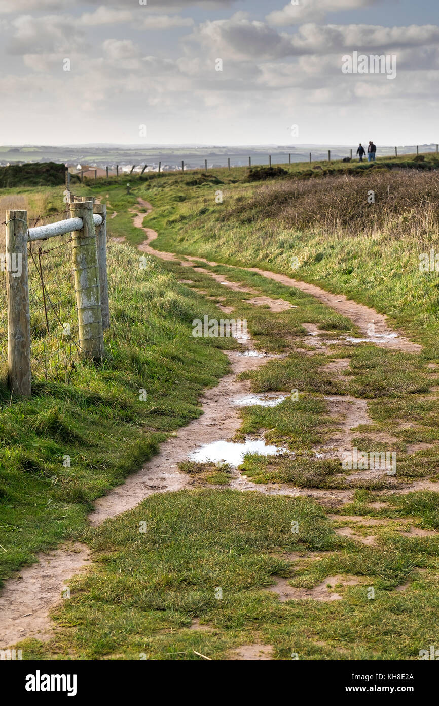 The South West Coast Path on the North Cornwall coast Stock Photo - Alamy