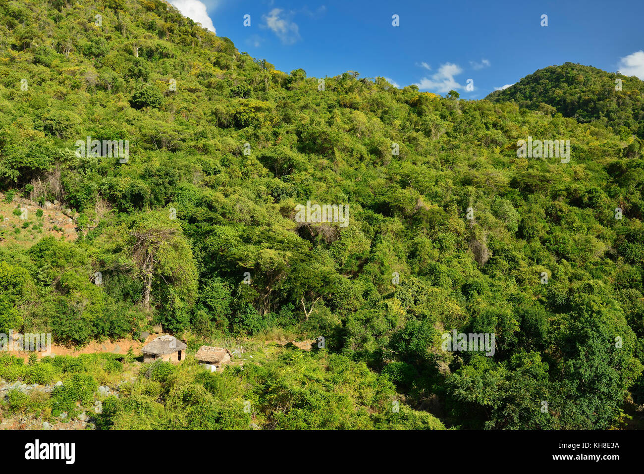 The trail for the highest peak on Cuba Pico Turquino being in a ...