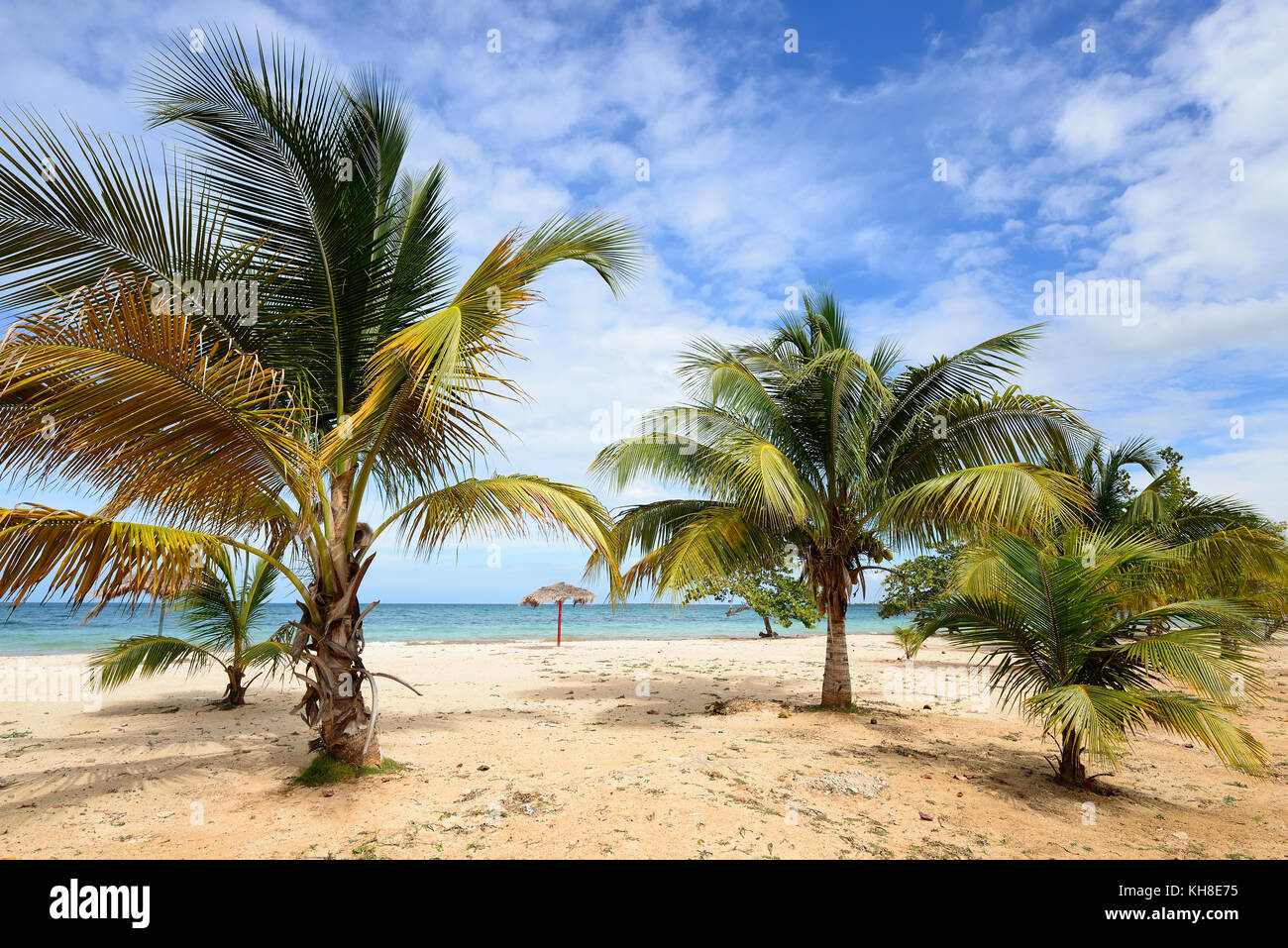 Sand Las Coloradas beach and turquoise water and palm tress on the wild ...