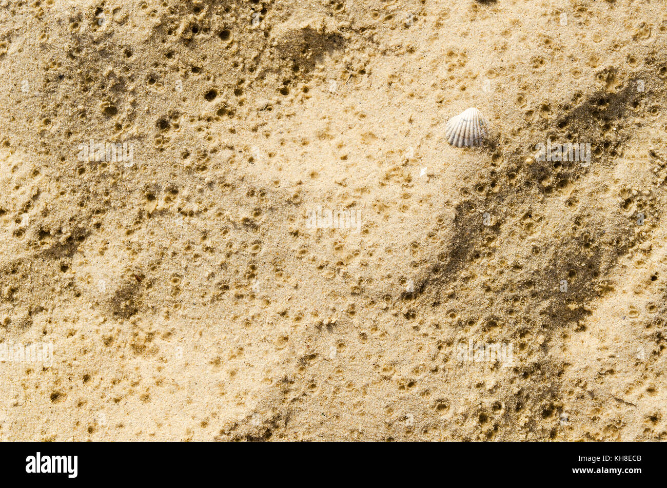 sand with wet drops after light rain Stock Photo - Alamy