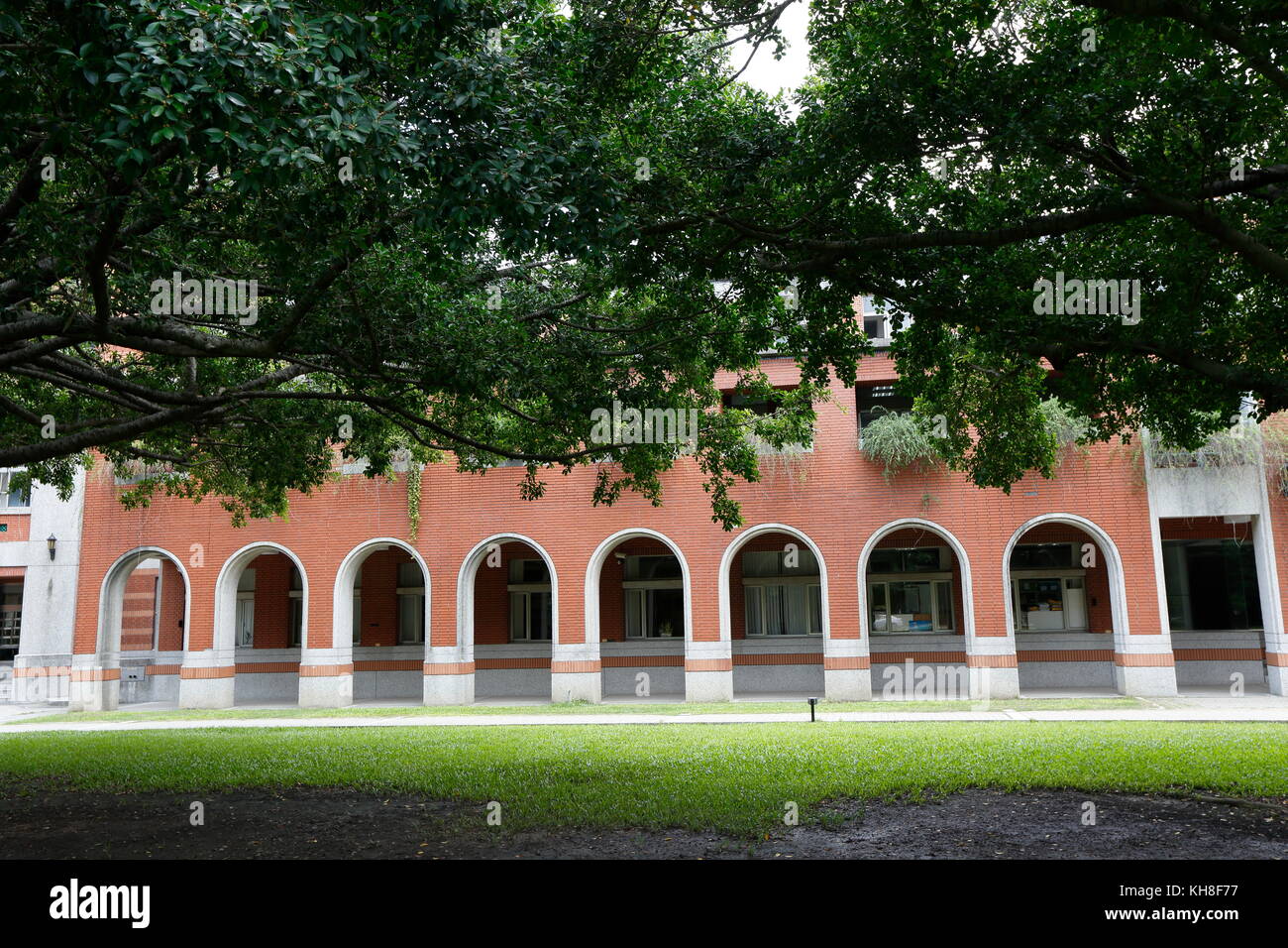 The banyan tree conversation project of NCKU, Taiwan Stock Photo - Alamy
