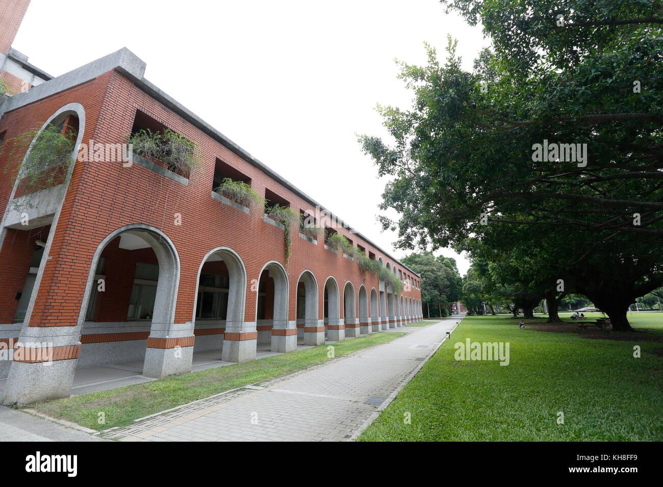 Taiwan tree banyan hi-res stock photography and images - Alamy
