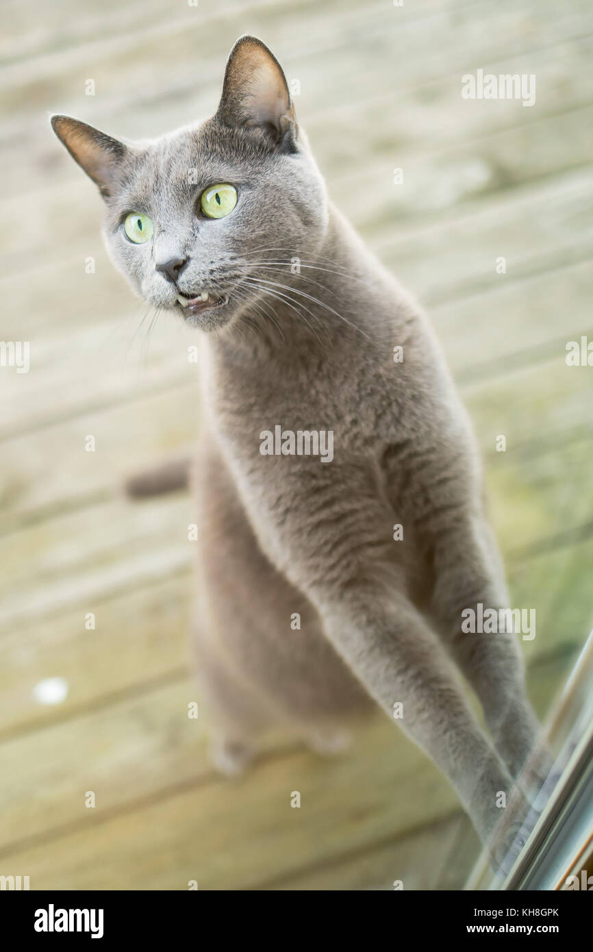 Trying to not touch door hi-res stock photography and images - Alamy