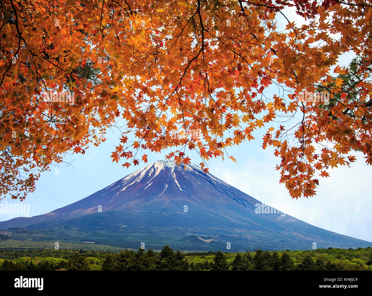 The Mt.Fuji in autumn on sunrise at lake Kawaguchiko Japan. mount Fuji ...