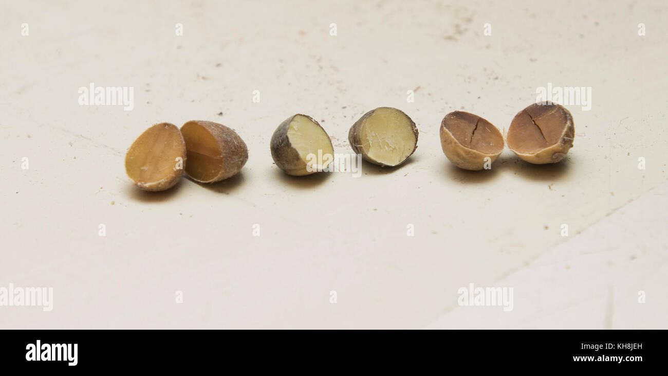 Consolidated Grain and Barge operations at the Riverside Terminal, in ...