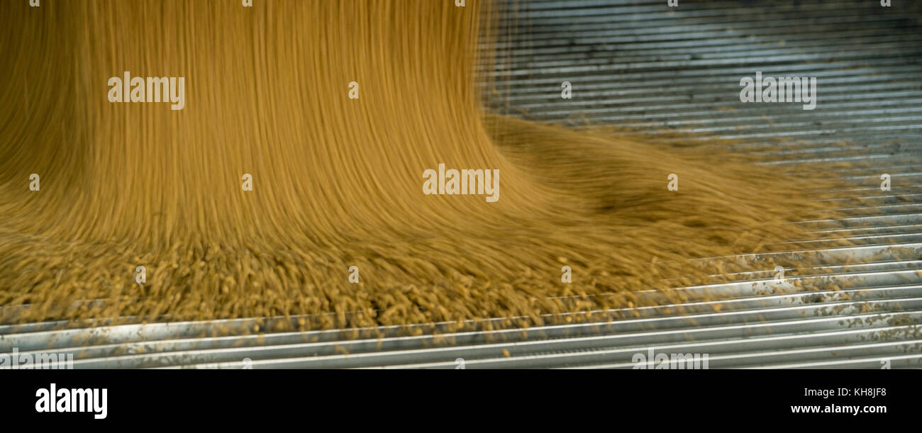 Consolidated Grain and Barge operations at the Riverside Terminal, in ...