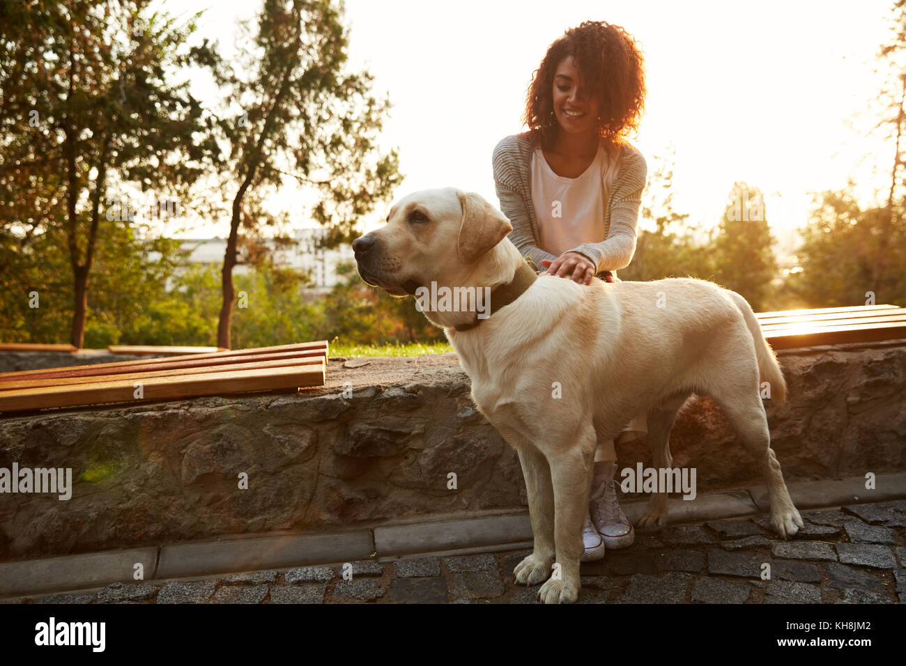 Young careless african lady sitting on bench in park and hugging her ...