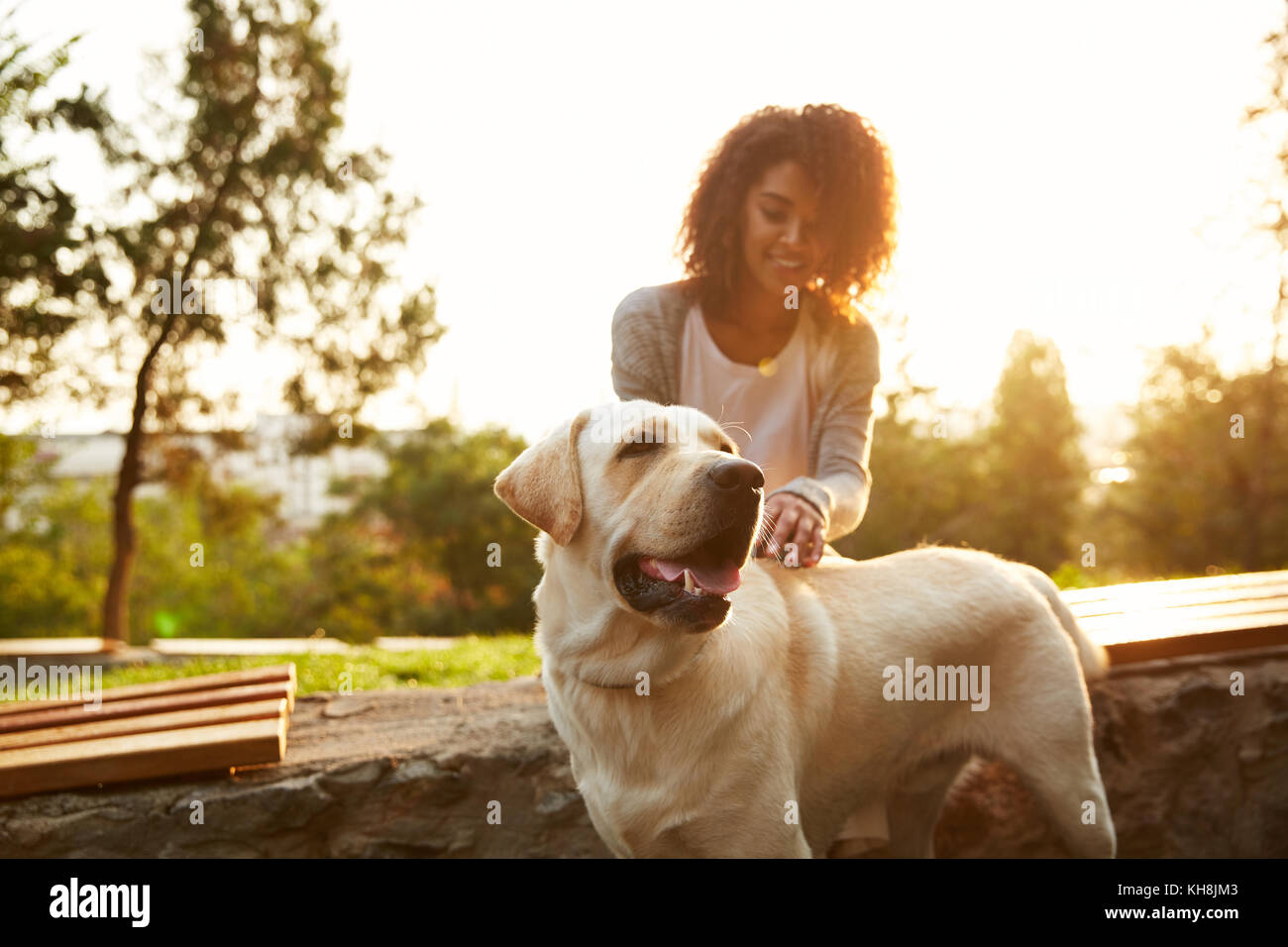 Young careless african lady sitting on bench in park and hugging her ...