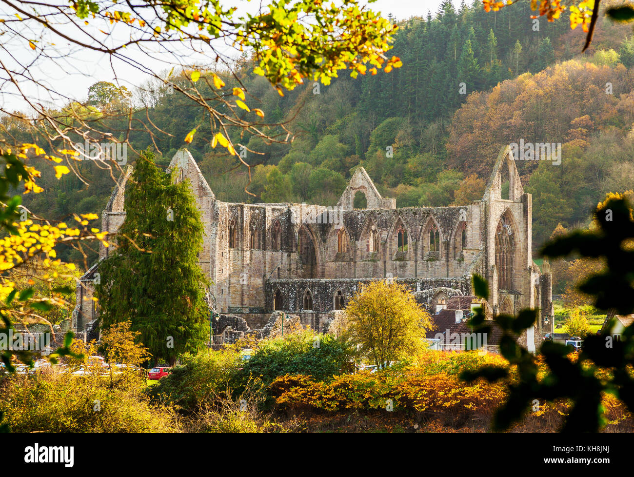 Tintern Abbey, Wye Valley, Monmouthshire, Wales, UK Stock Photo - Alamy