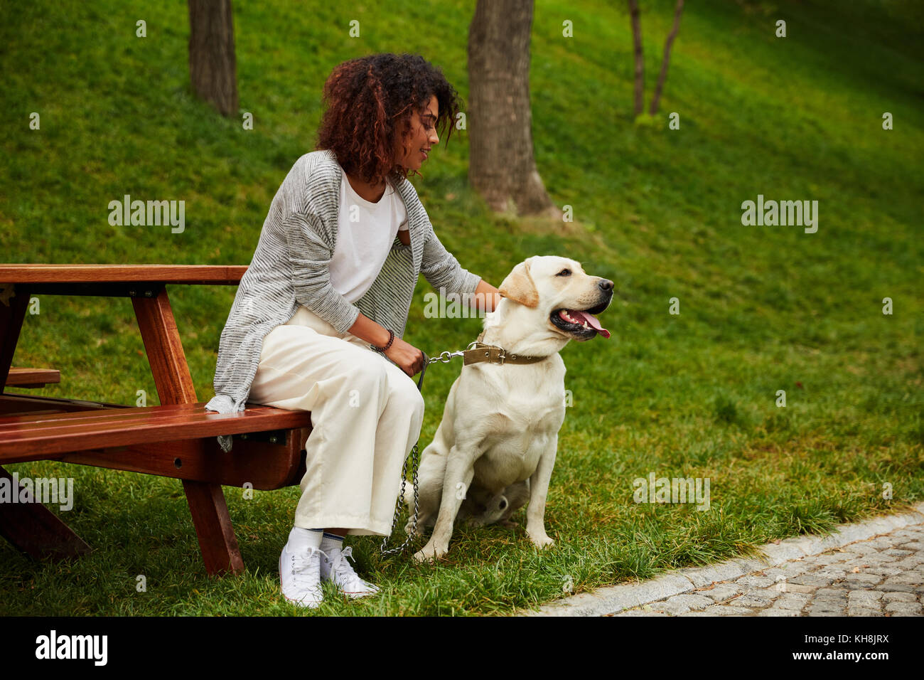 Young careless african lady sitting on bench in park and holding dog ...