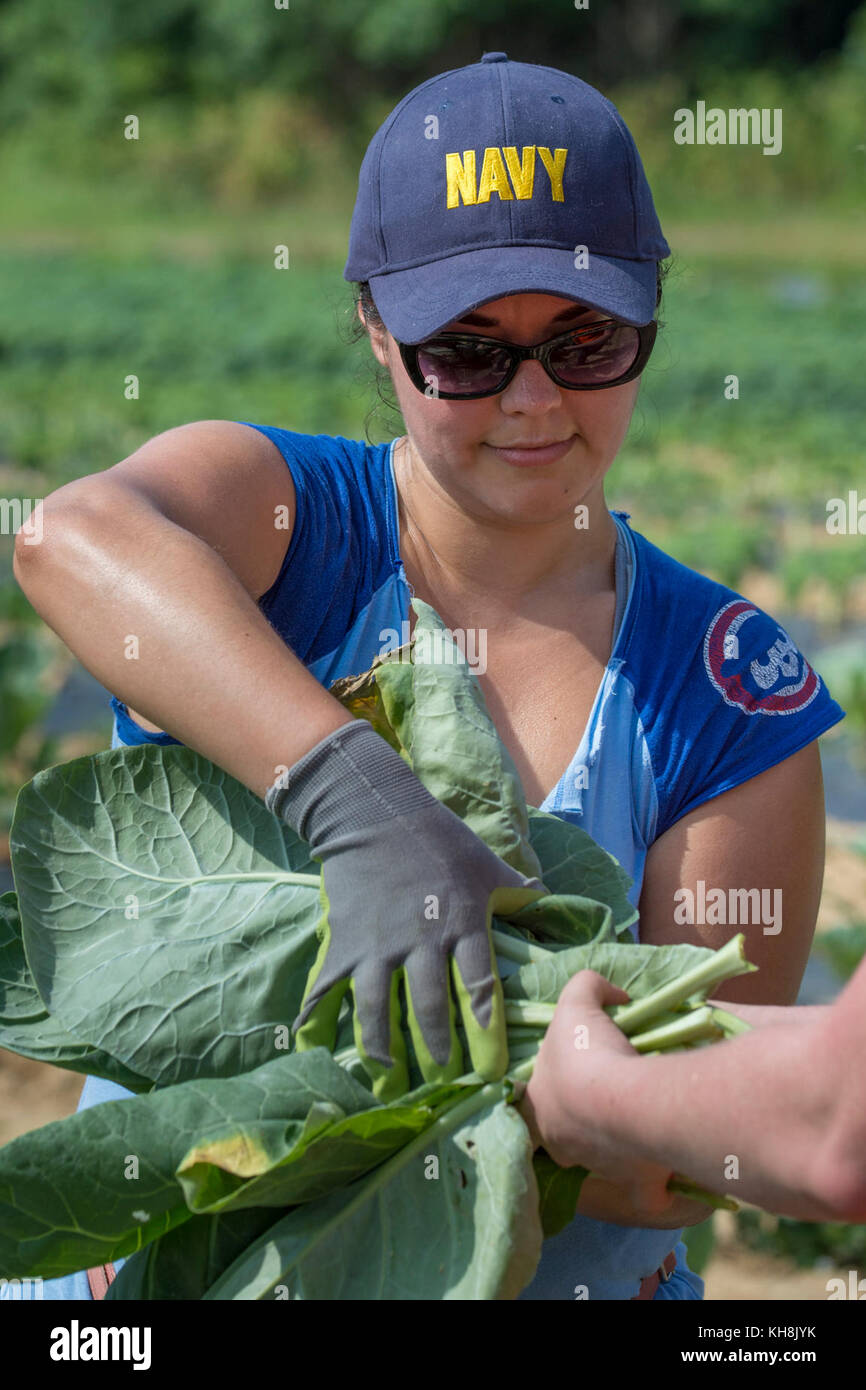 Cynthia preston hi-res stock photography and images - Alamy