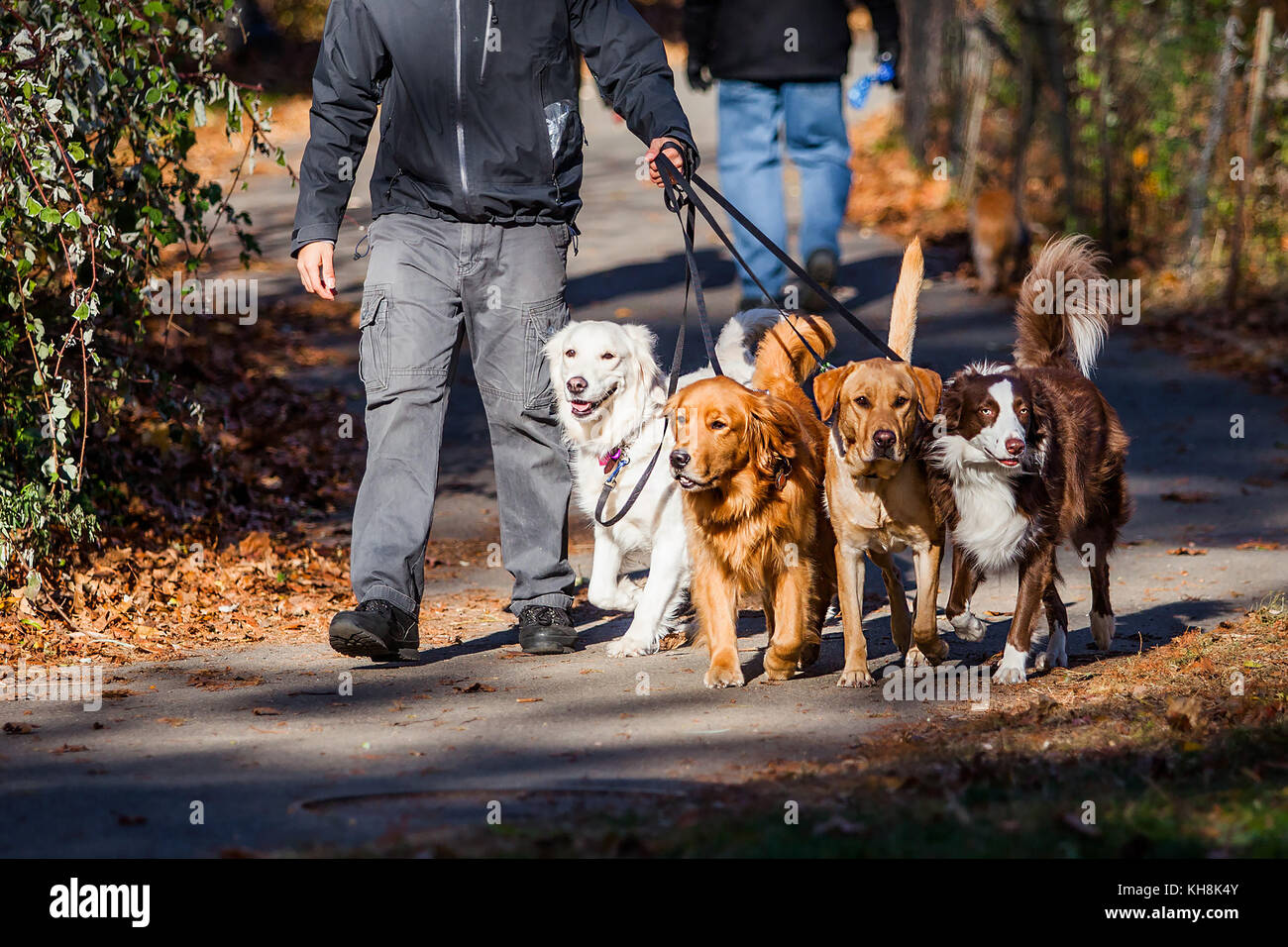 Walking to job hi-res stock photography and images - Alamy