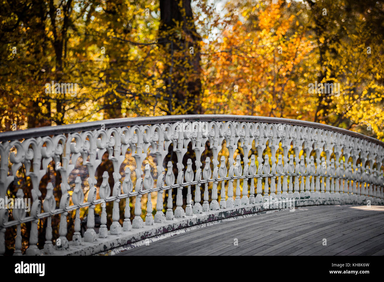 Gold and rust colors hi-res stock photography and images - Alamy