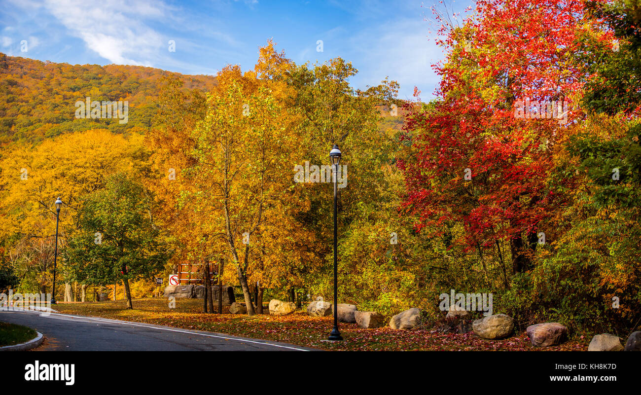 Gold and rust colors hi-res stock photography and images - Alamy