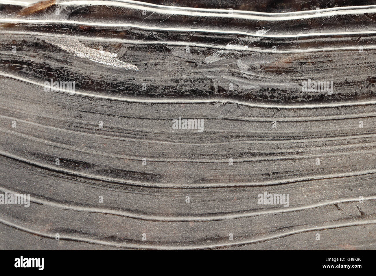 Nature line drawings hi-res stock photography and images - Alamy