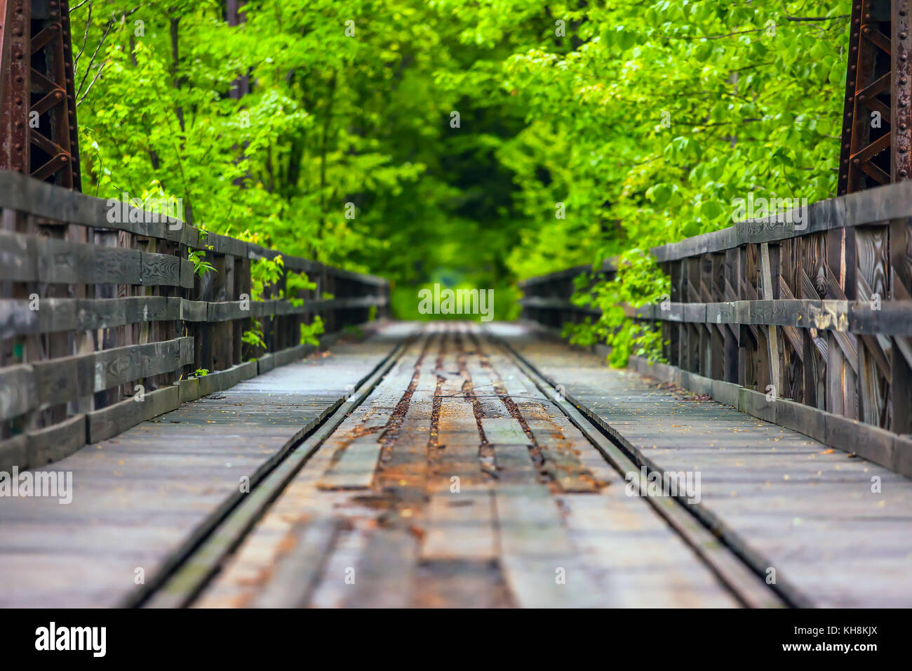 Railroad in the wood Stock Photo - Alamy