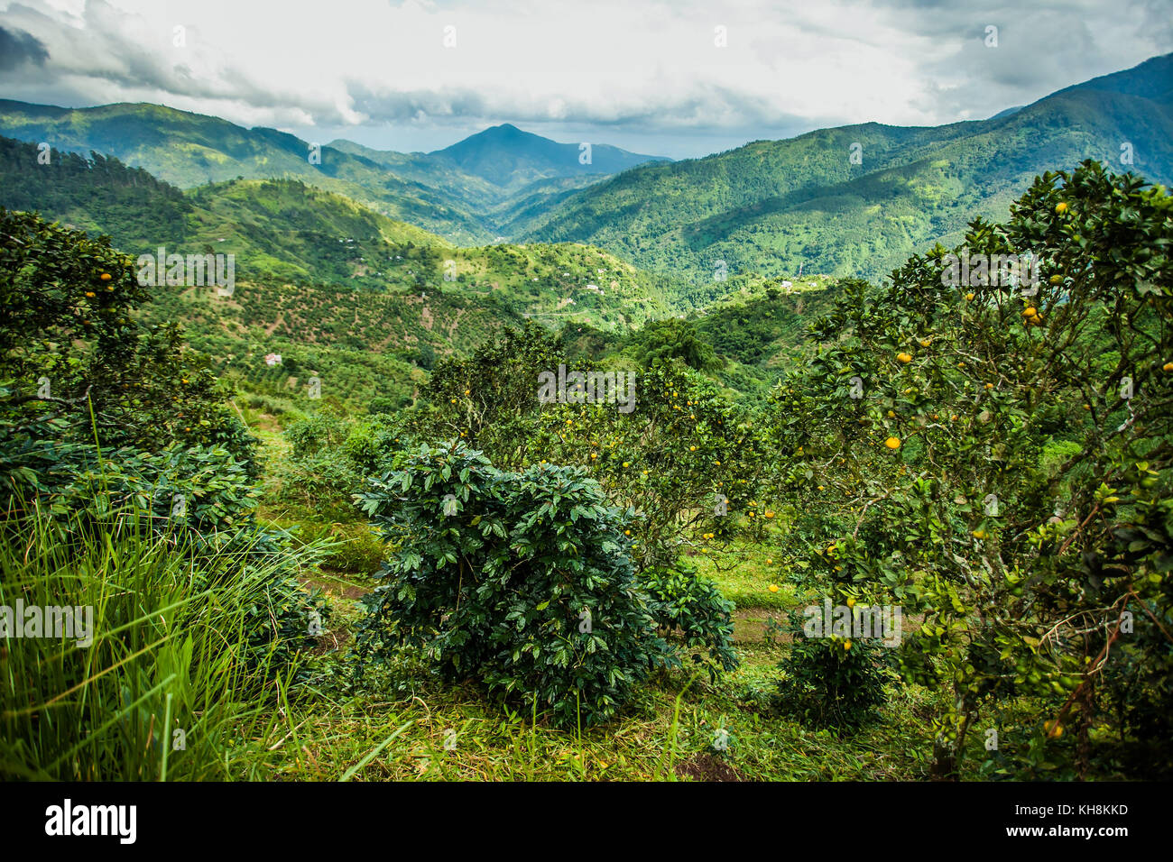 Rural jamaica hi-res stock photography and images - Alamy