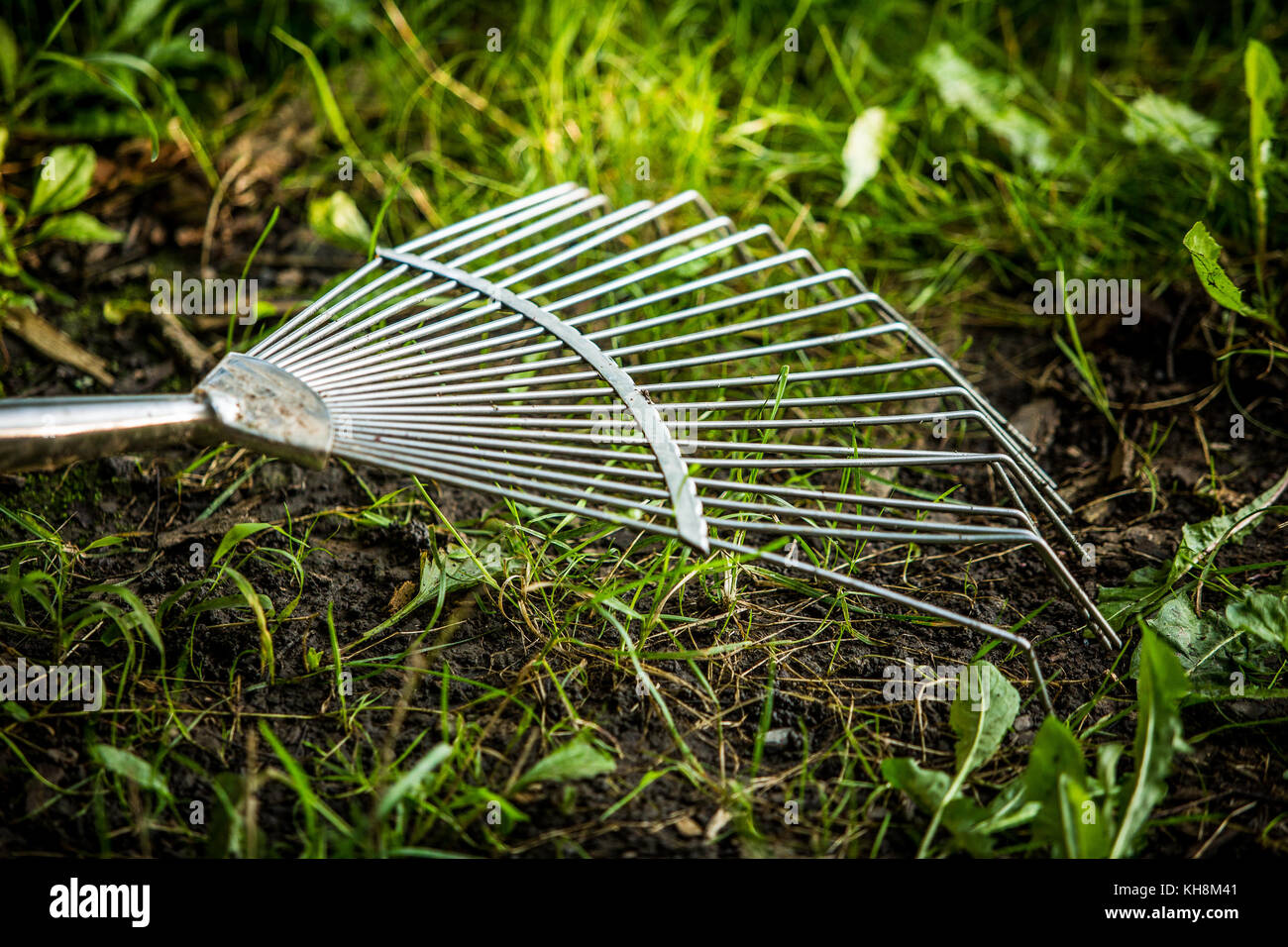 Rake clean hi-res stock photography and images - Alamy