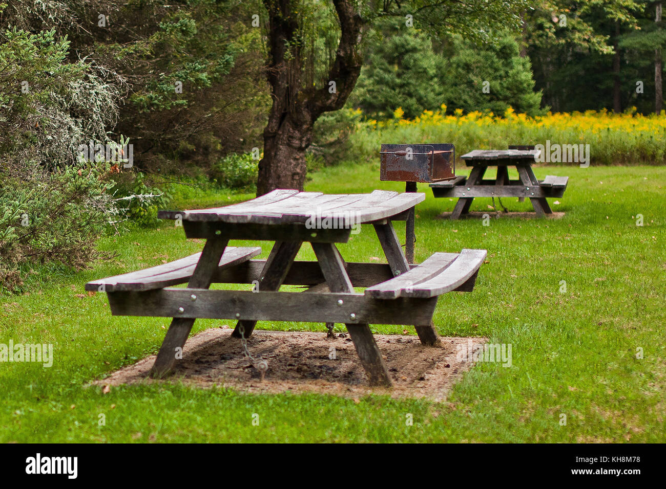 Picnic tables hi-res stock photography and images - Alamy