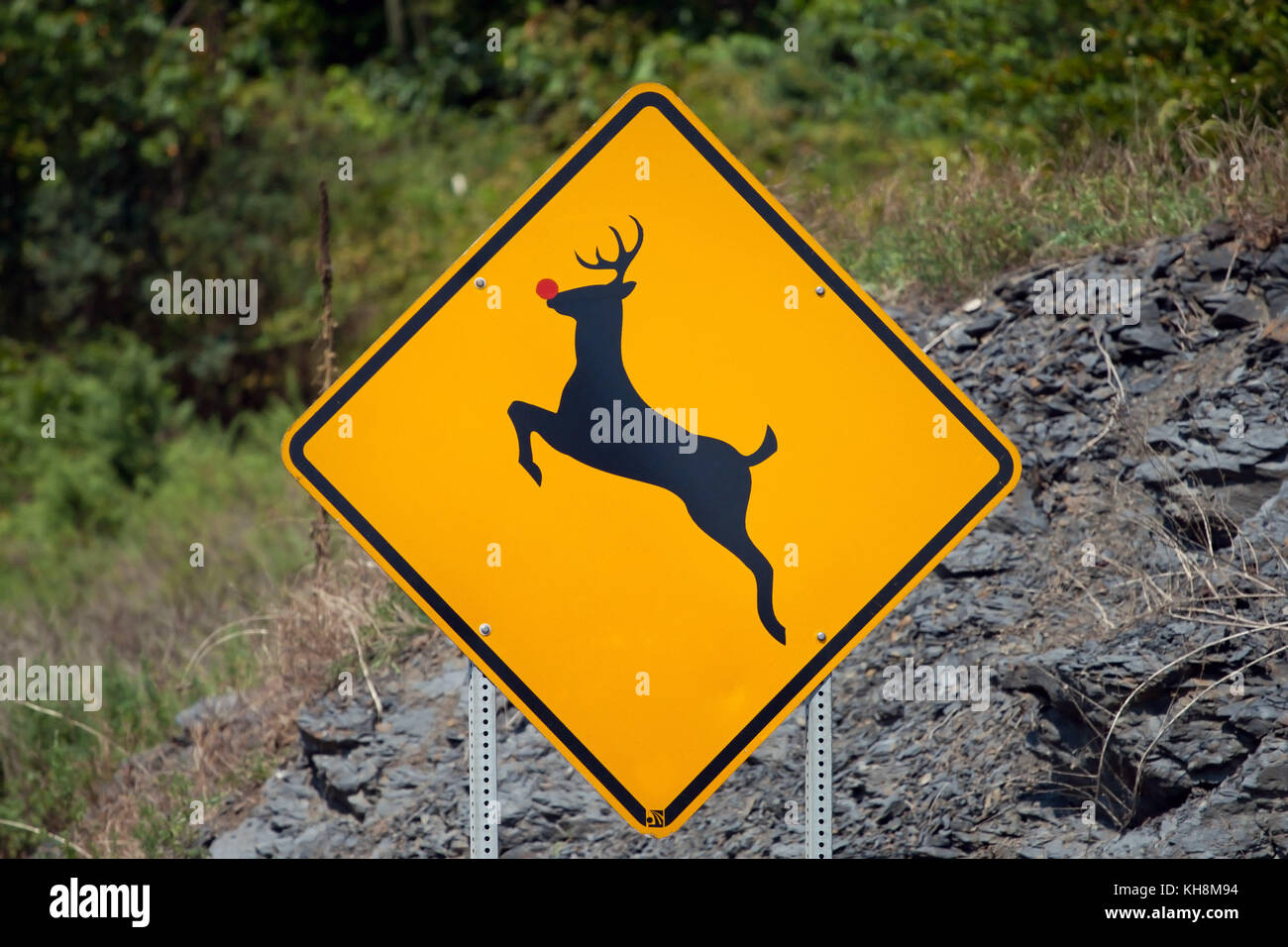 Deer road sign Stock Photo - Alamy