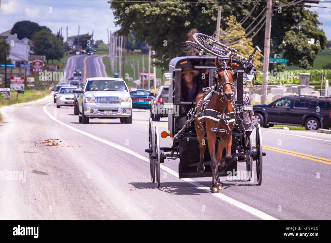 Amish Horse Horses Buggy High Resolution Stock Photography and Images ...