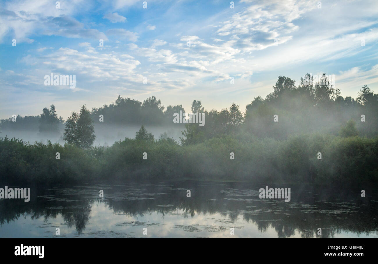 blue sky and foggy lake forest Stock Photo - Alamy