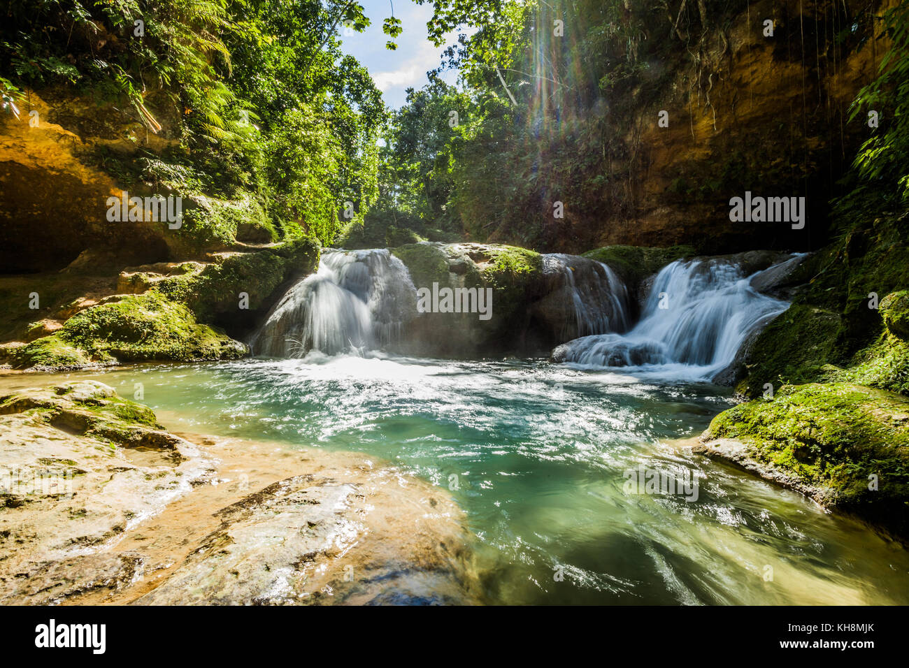 Ocho rios jamaica jungle hi-res stock photography and images - Alamy