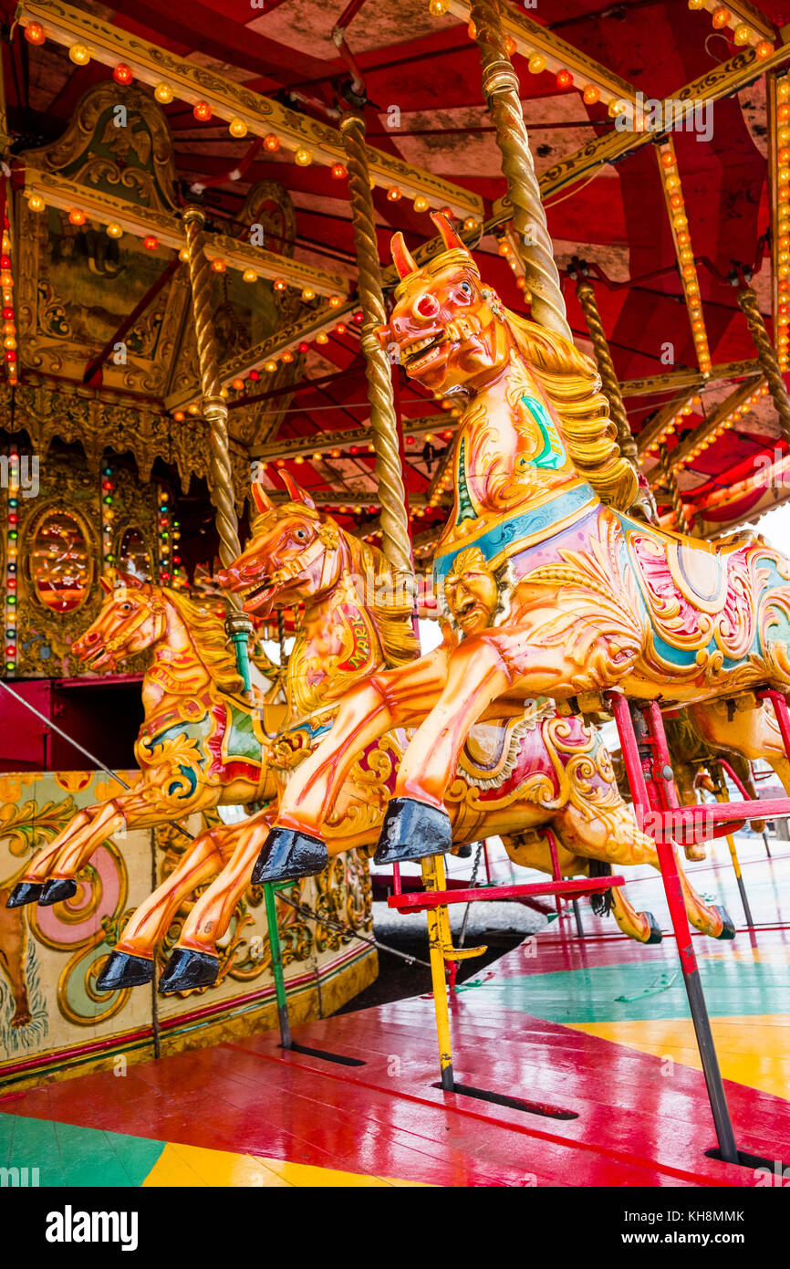 Golden gallopers hi-res stock photography and images - Alamy