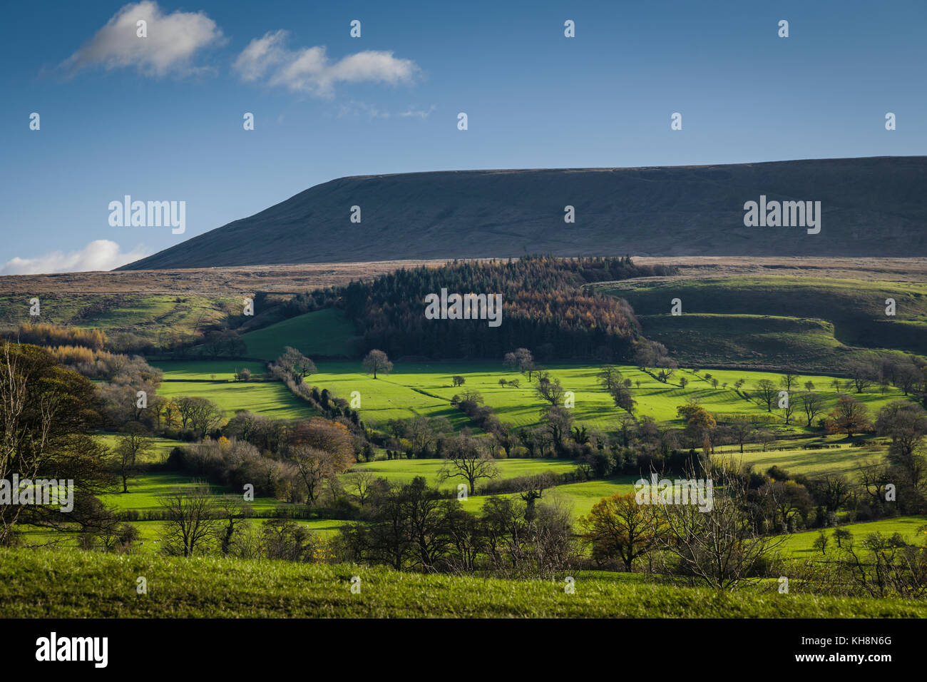 Ribble valley autumn hi-res stock photography and images - Alamy