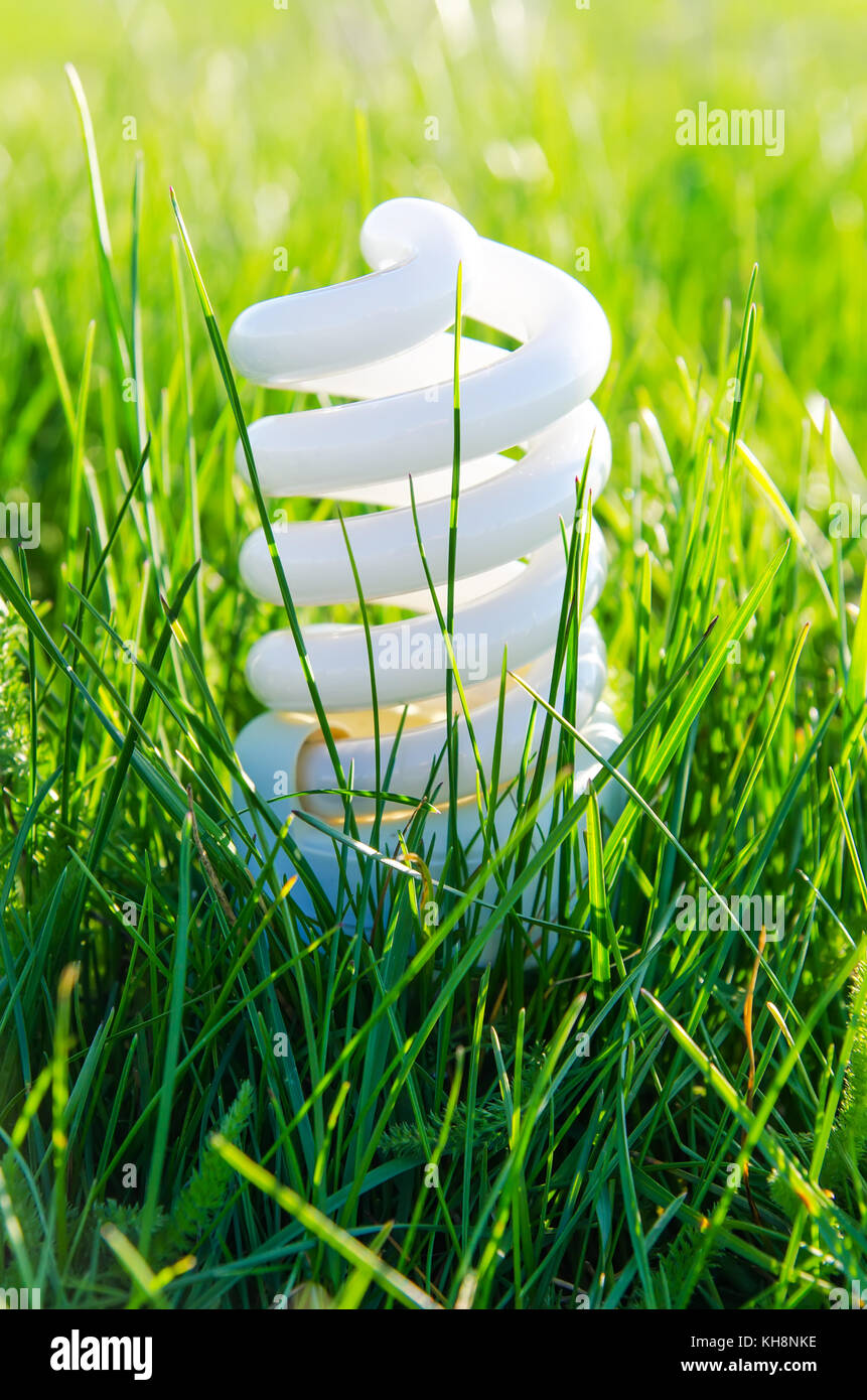 energy-saving lamp in green grass Stock Photo - Alamy