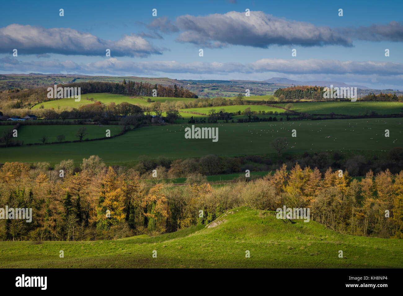 Ribble valley view lancashire hi-res stock photography and images - Alamy