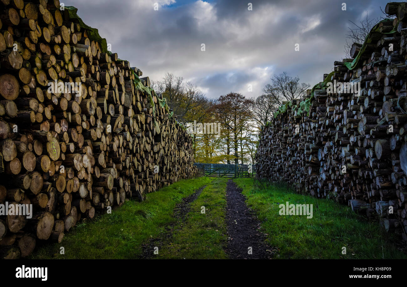 Mass timber building hi-res stock photography and images - Alamy