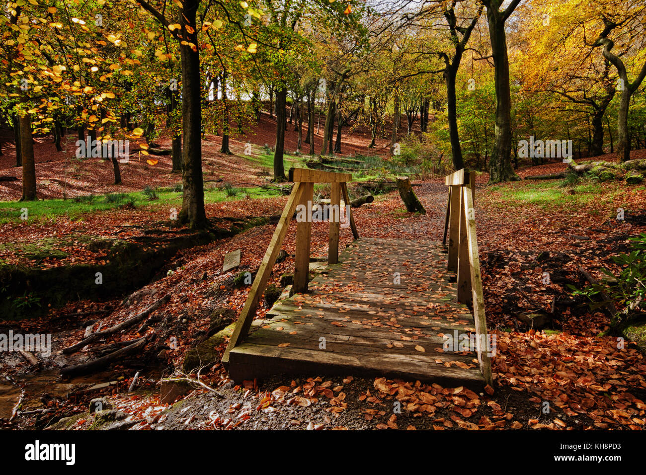 The tilted bridge in Tandle Hill Country Park, tandle hills, Royton ...