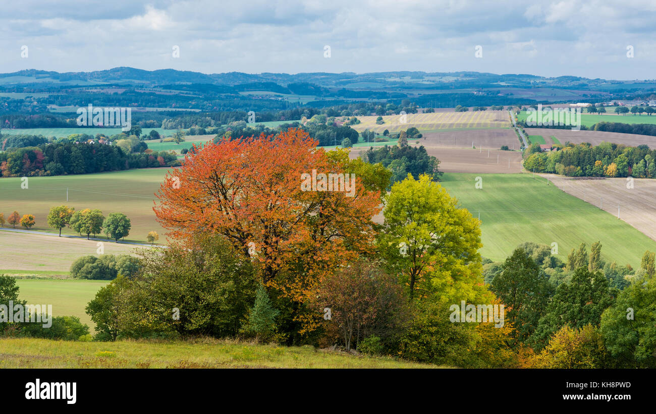 Colorful autumn panorama in sunlight. Beautiful trees in the landscape ...