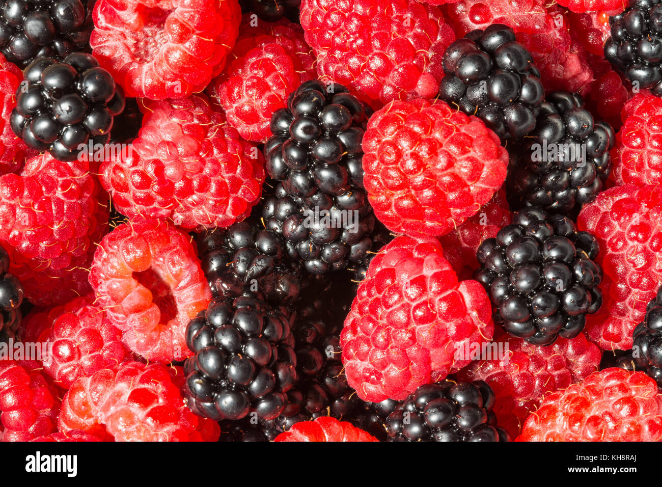 Background of delicious blackberries and raspberries. Decorative red ...