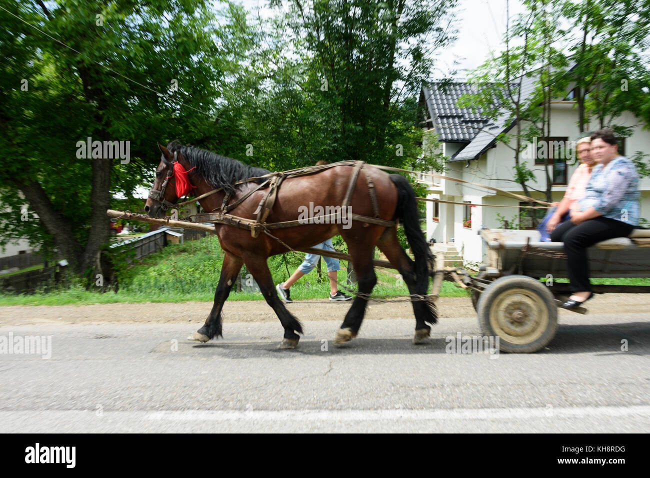 Village of Cacica in North Eastern Romania (Bukovina). Two women on a ...