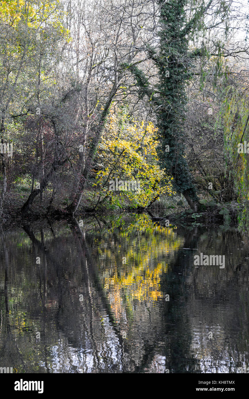 Autumn Tints and Reflections of Trees in a Lake at Shipton Under ...
