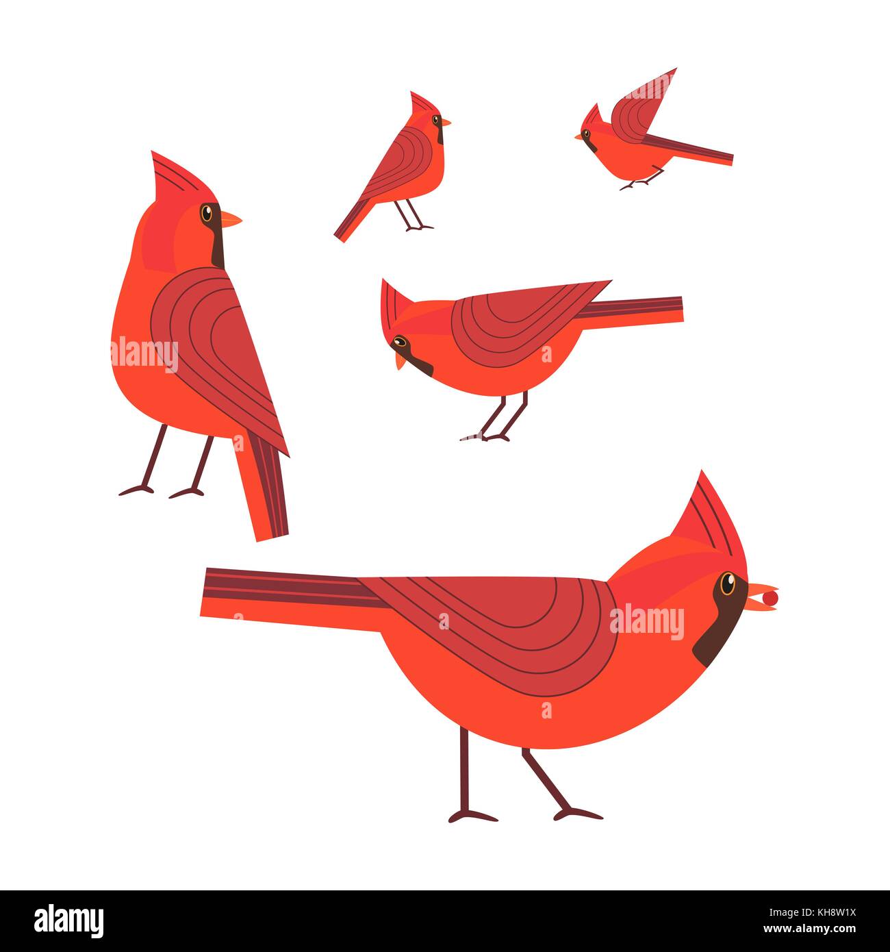 Cardinal Bird Cut Out Stock Images & Pictures - Alamy