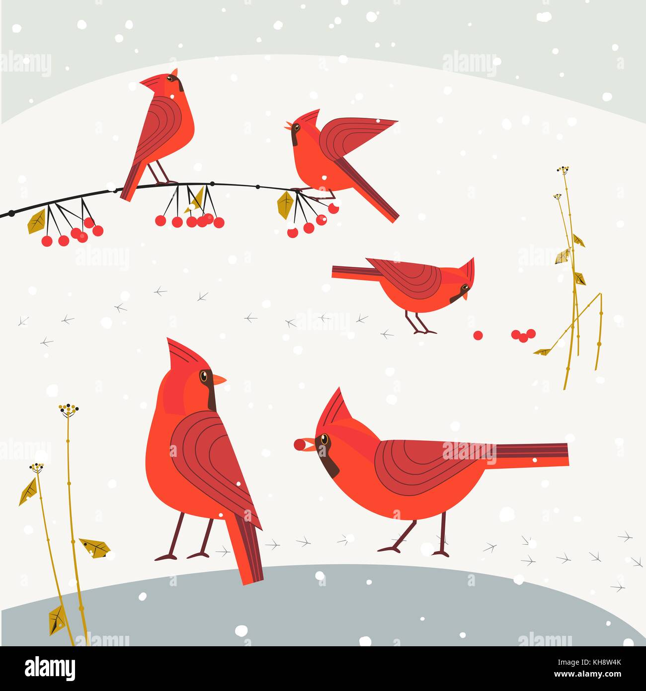 Red cardinal bird set Stock Vector Image & Art - Alamy