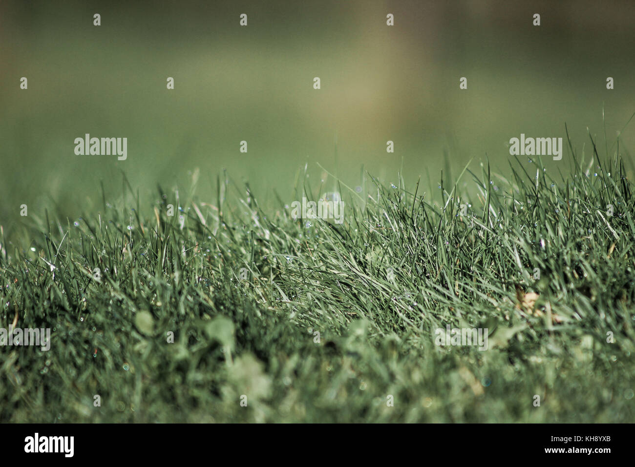 The edge of a slope hi-res stock photography and images - Alamy